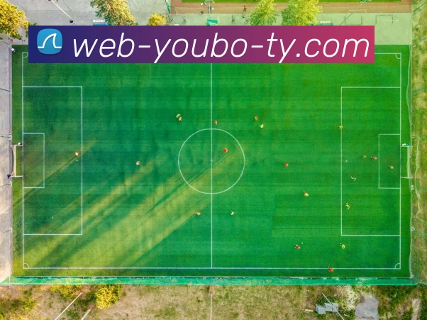 友博体育 (中国)官方网站 - YOUBO SPORTS